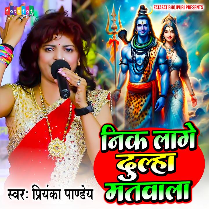 Dil Lehlu Nikal Ke_歌词_Priyanka Pandey的歌曲_下载-汽水音乐