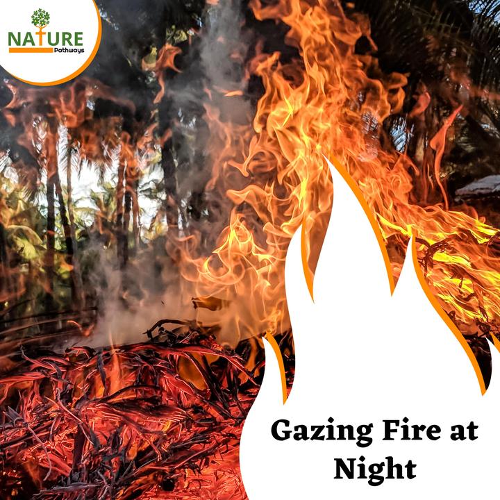 Runlet Stream_歌词_Eric Library of Nature Sounds的歌曲_下载-汽水音乐