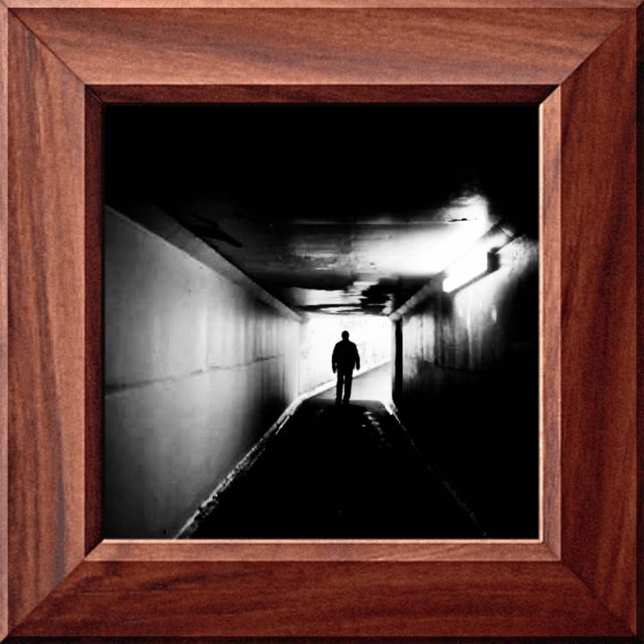 In The Doghouse_歌词_Wild Willy的歌曲_下载-汽水音乐