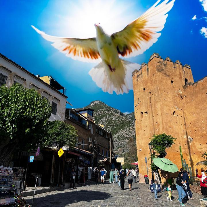 Inta Fin_歌词_Fetta Achilles Nach的歌曲_下载-汽水音乐