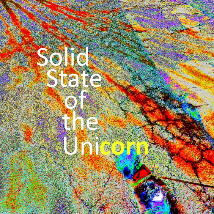 Fur Shore_歌词_Solid State of the Unicorn的歌曲_下载-汽水音乐