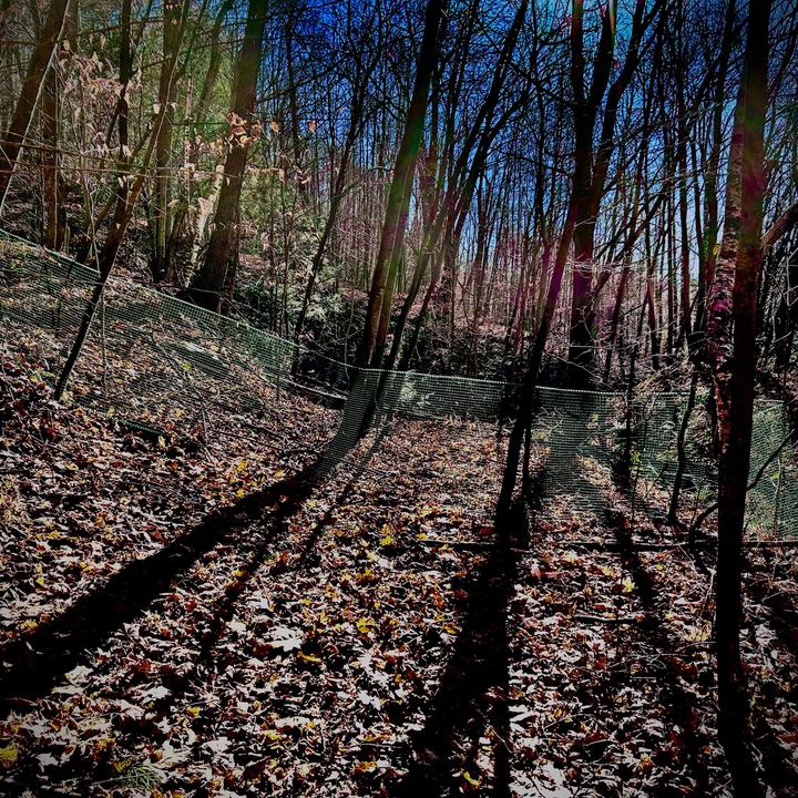 When I'm Not_歌词_The Love Stars的歌曲_下载-汽水音乐