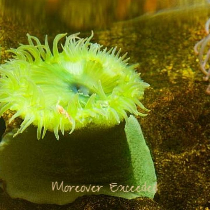 Doi Hot_歌词_Jian Hney的歌曲_下载-汽水音乐