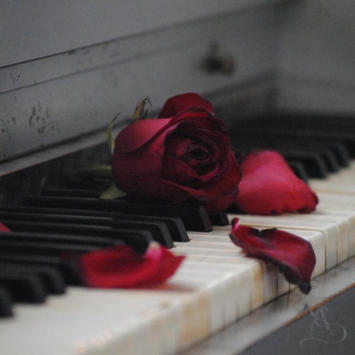 Shores of Ithaca_歌词_Breaking Elements的歌曲_下载-汽水音乐