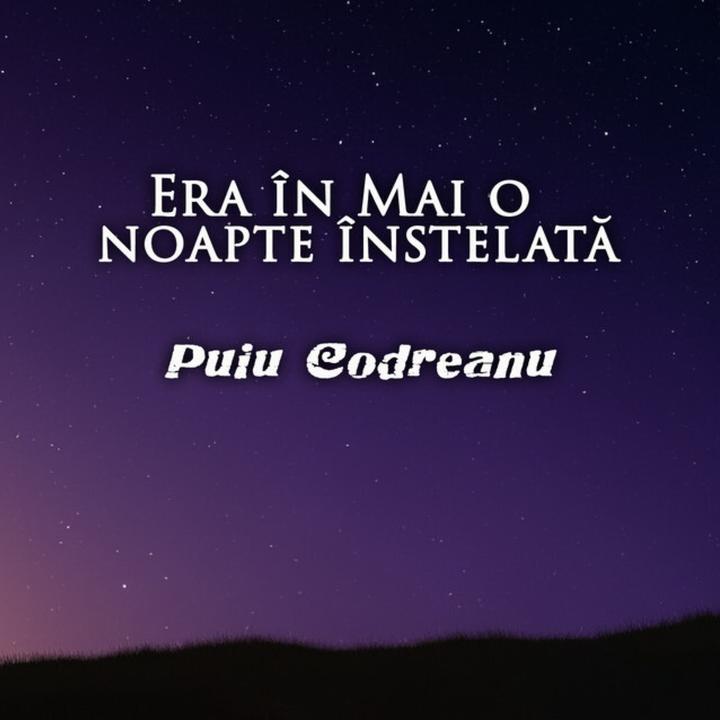 Stiu ca te voi pierde_歌词_Puiu Codreanu的歌曲_下载-汽水音乐