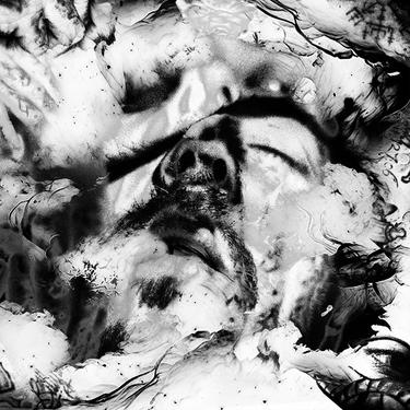 Confessions_歌词_Rabspitz / Vagrant Real Estate / Bang On!的歌曲_下载-汽水音乐