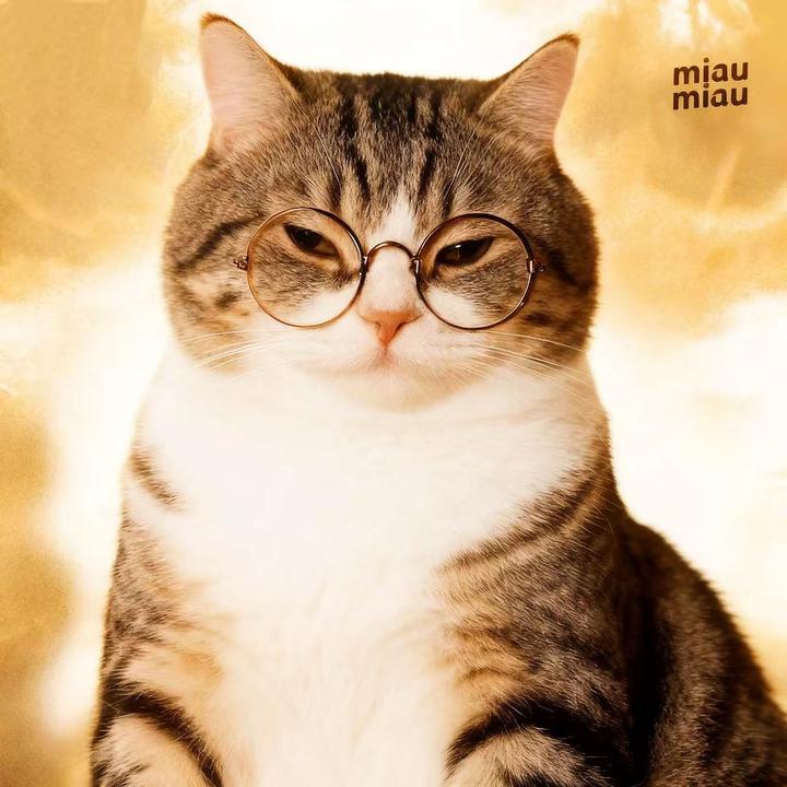 Get It Done_歌词_Lady Sway / Maggie Szabo的歌曲_下载-汽水音乐