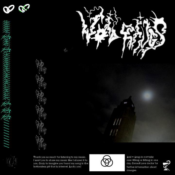 OMINOUS ENDING_歌词_Void Rings的歌曲_下载-汽水音乐