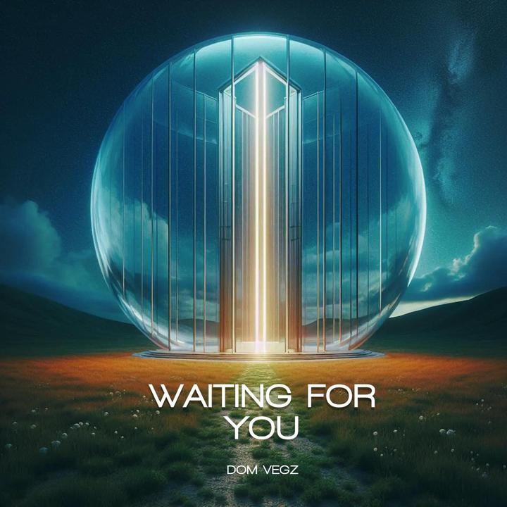 Mysterious_歌词_Dom Vegz的歌曲_下载-汽水音乐