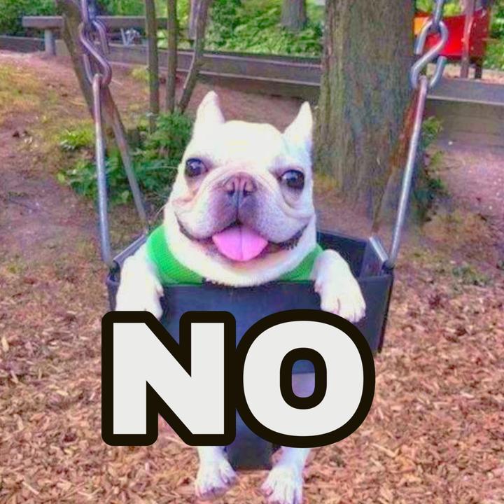 Dropout_歌词_MajorKooper / Cousin Baby Jack的歌曲_下载-汽水音乐