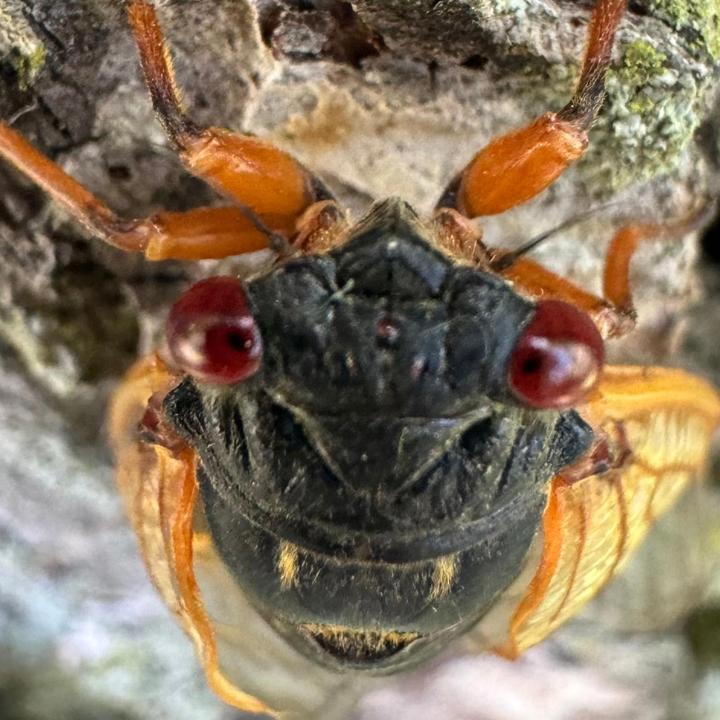 A List of Things (for breakfast)_歌词_Phil Stepford的歌曲_下载-汽水音乐