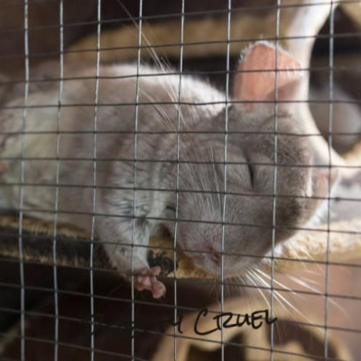 New Meaning_歌词_Cherice的歌曲_下载-汽水音乐