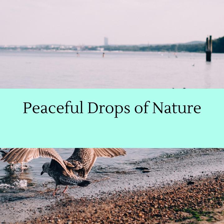 Restless Water Ripples_歌词_Jordon Whales Nature的歌曲_下载-汽水音乐